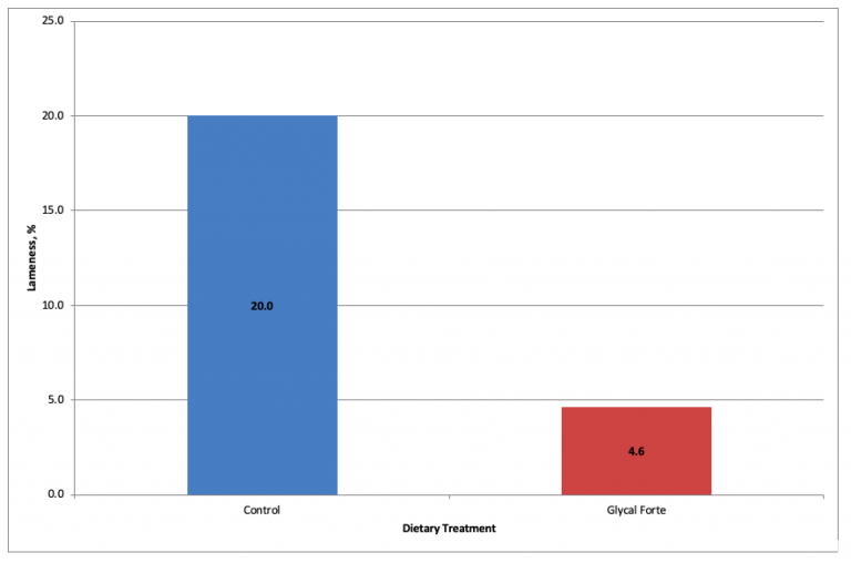 Reduced Lameness - Glycal Forte®